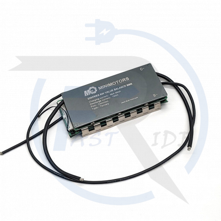 BMS Dualtron X Limited Minimotors