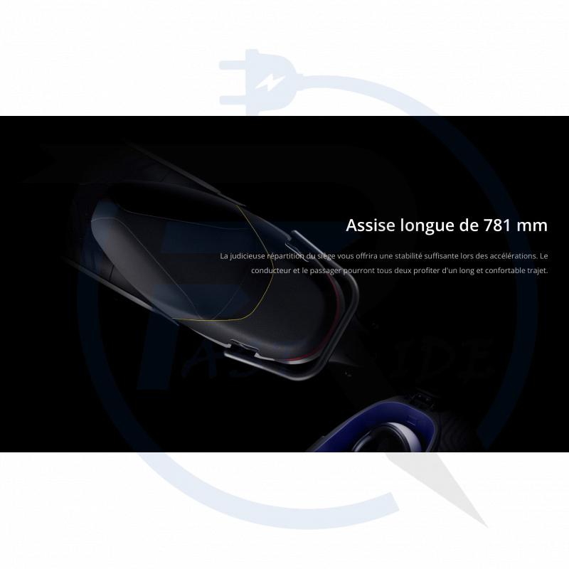 Scooter électrique SEGWAY E300SE